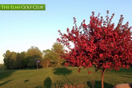 The Elms Golf Club | New York Golf Coupons | GroupGolfer.com